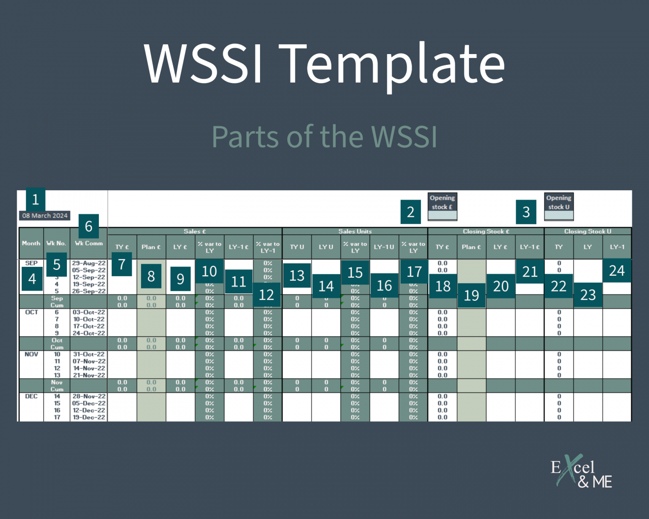 Excel WSSI Template Instructions - Excel and Me