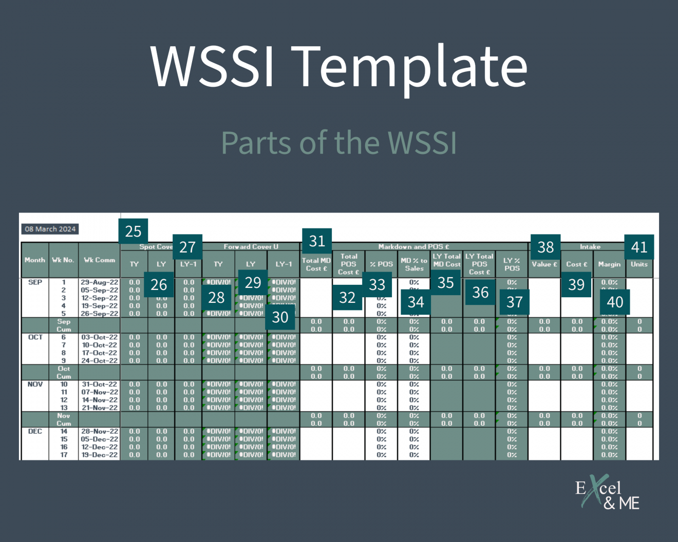 Excel WSSI Template Instructions - Excel and Me