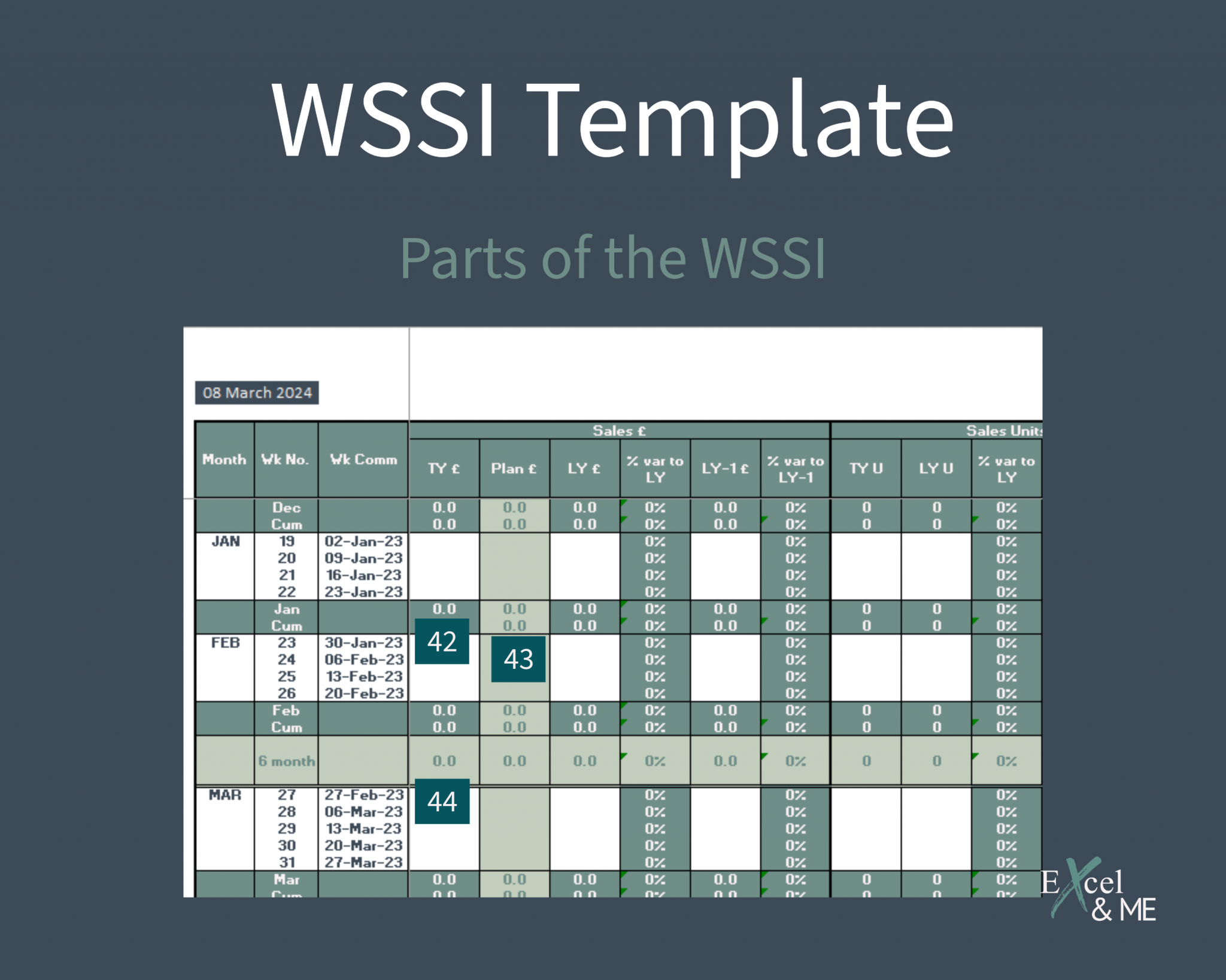 Excel WSSI Template Instructions - Excel and Me