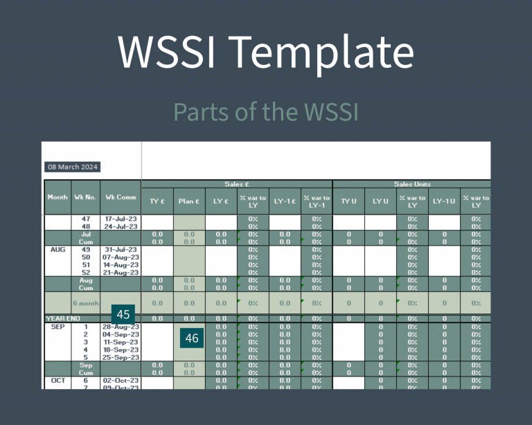 Excel WSSI Template Instructions - Excel and Me