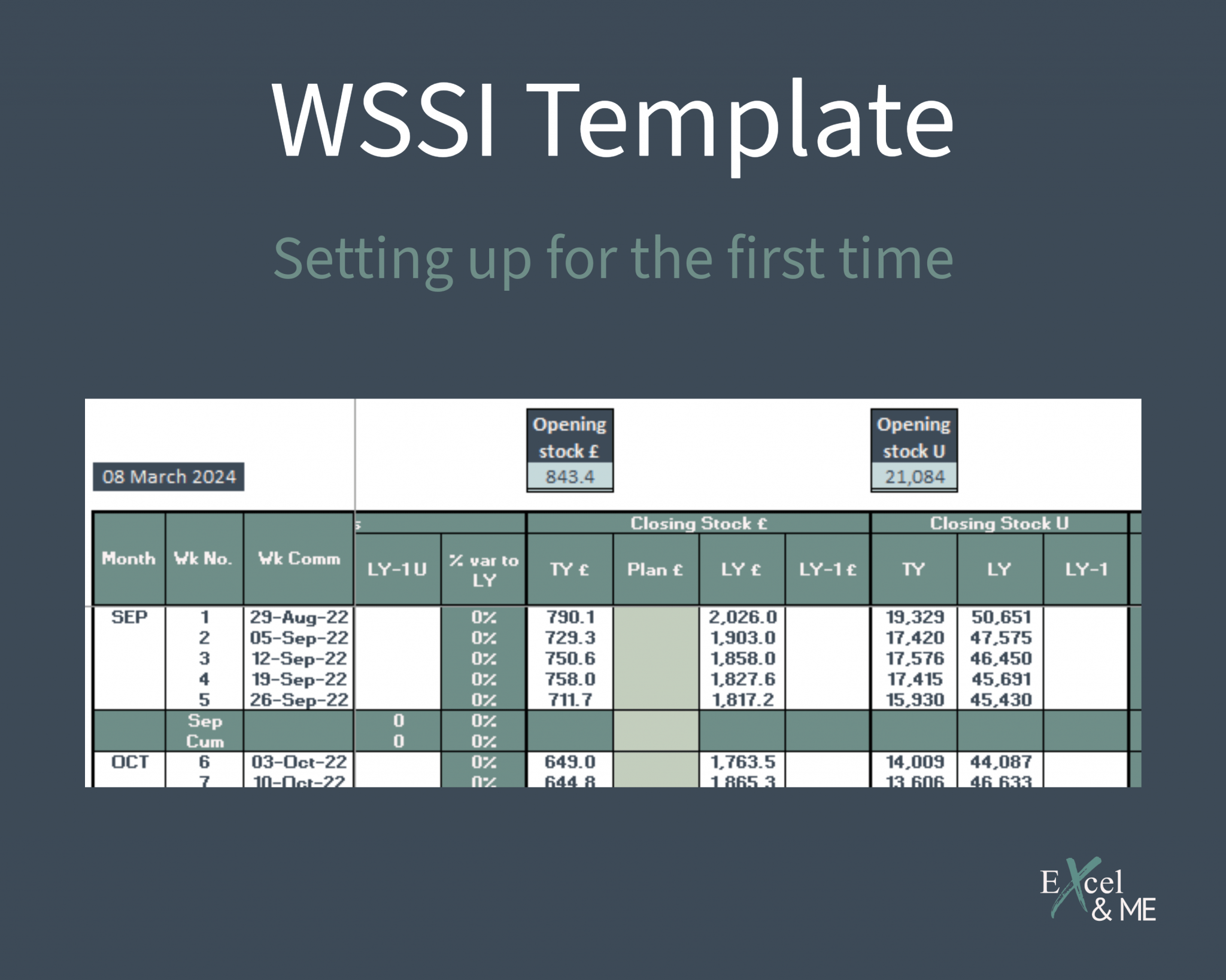 Excel WSSI Template Instructions - Excel and Me