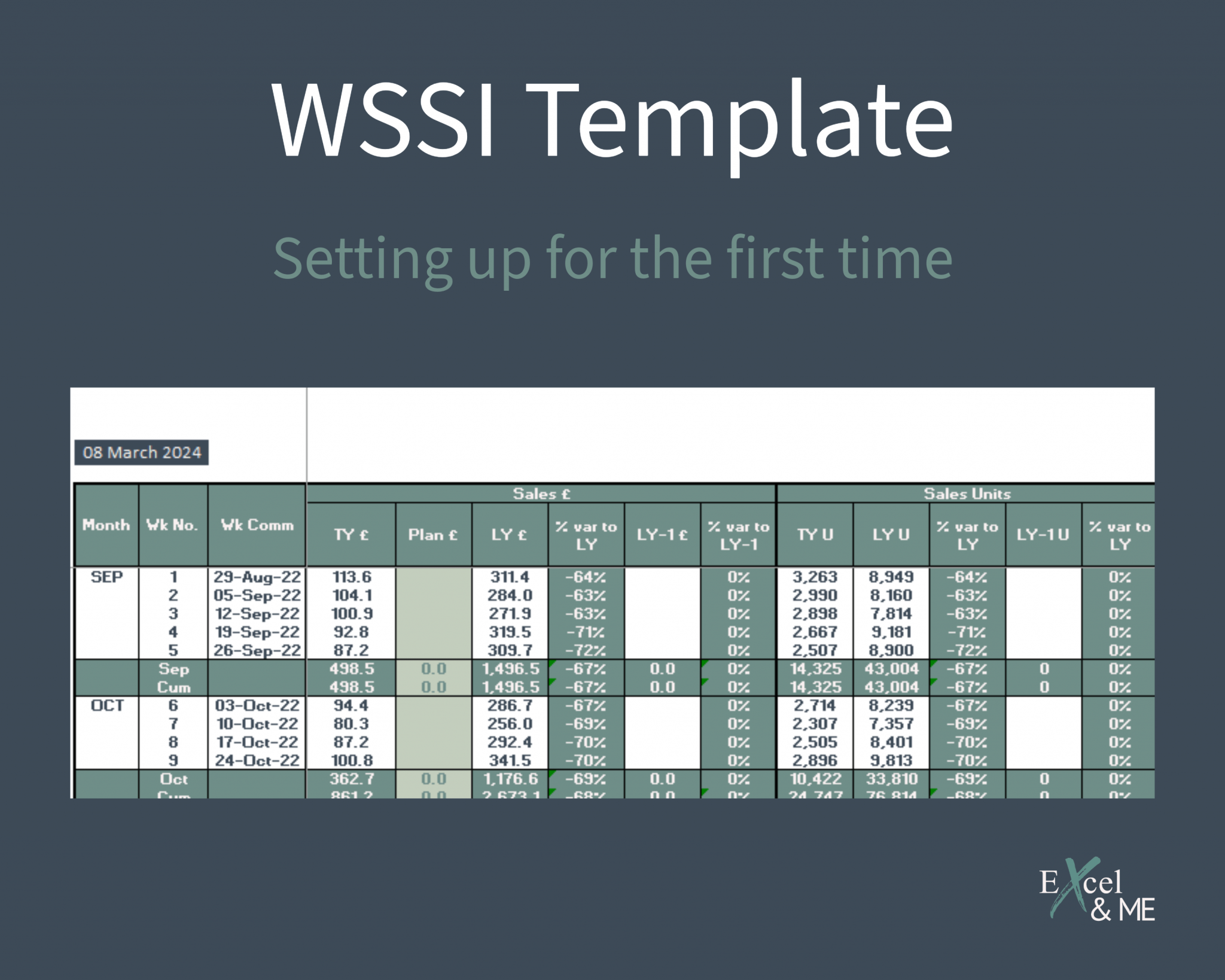 Excel WSSI Template Instructions - Excel and Me