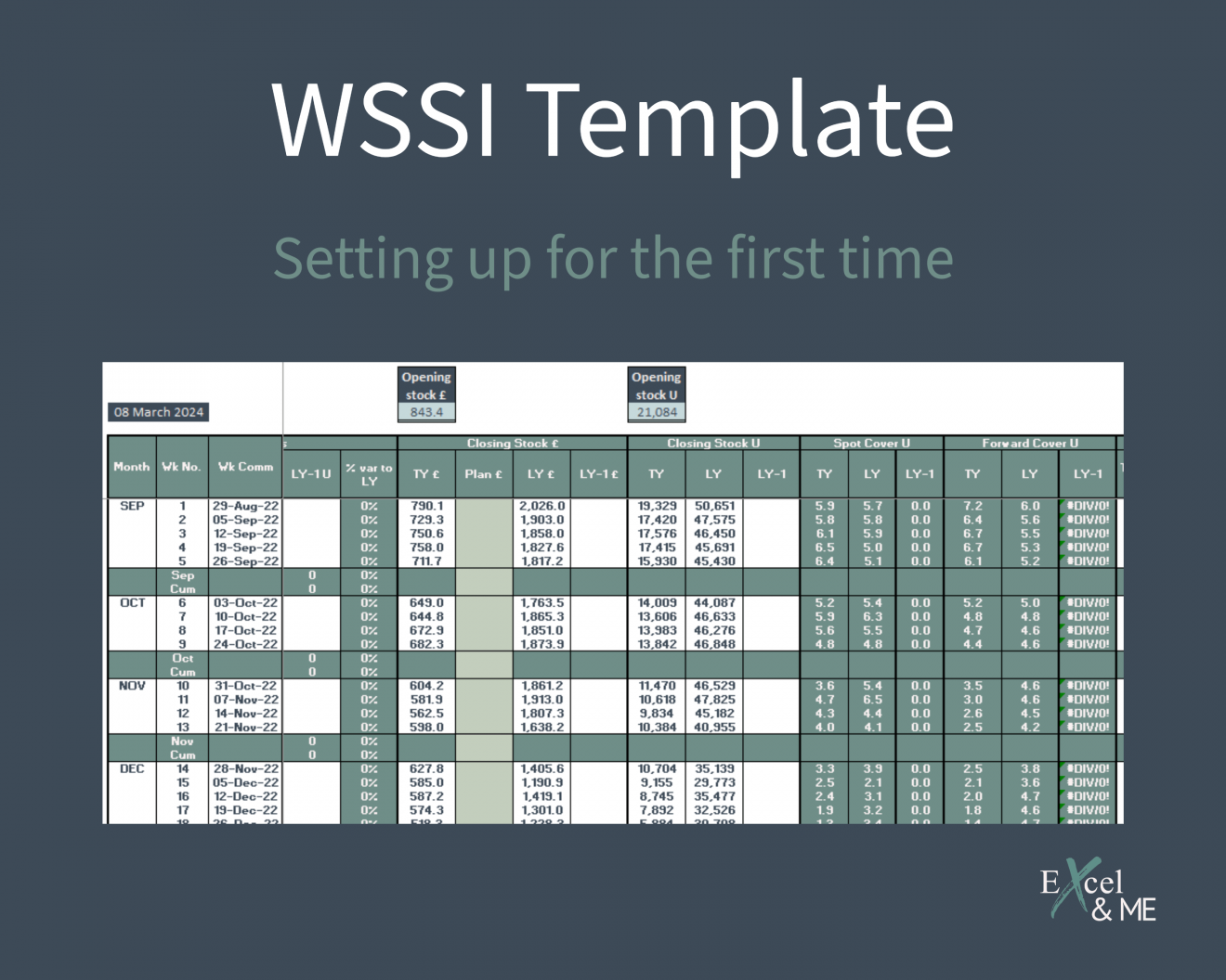 Excel WSSI Template Instructions - Excel and Me