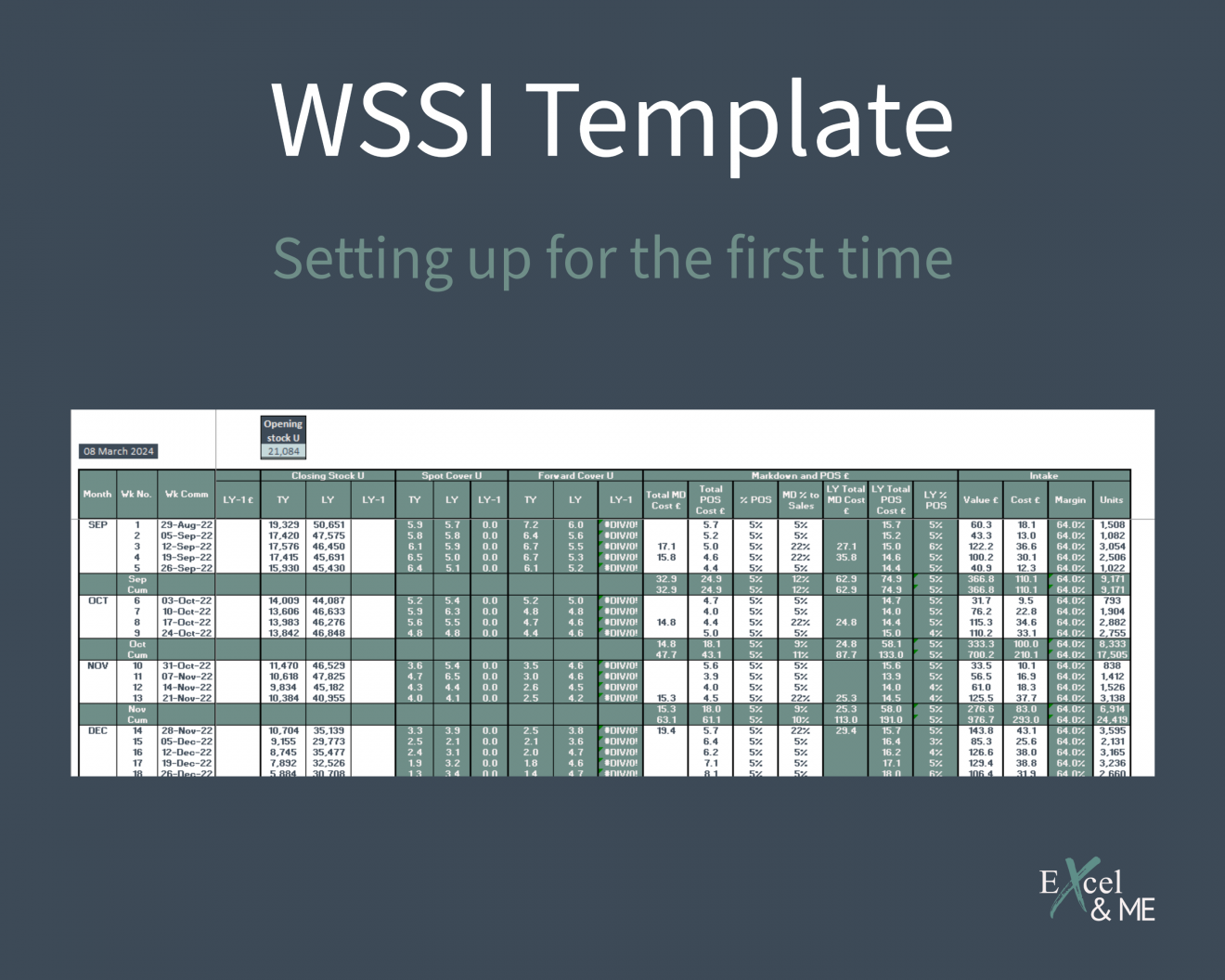 Excel WSSI Template Instructions - Excel and Me
