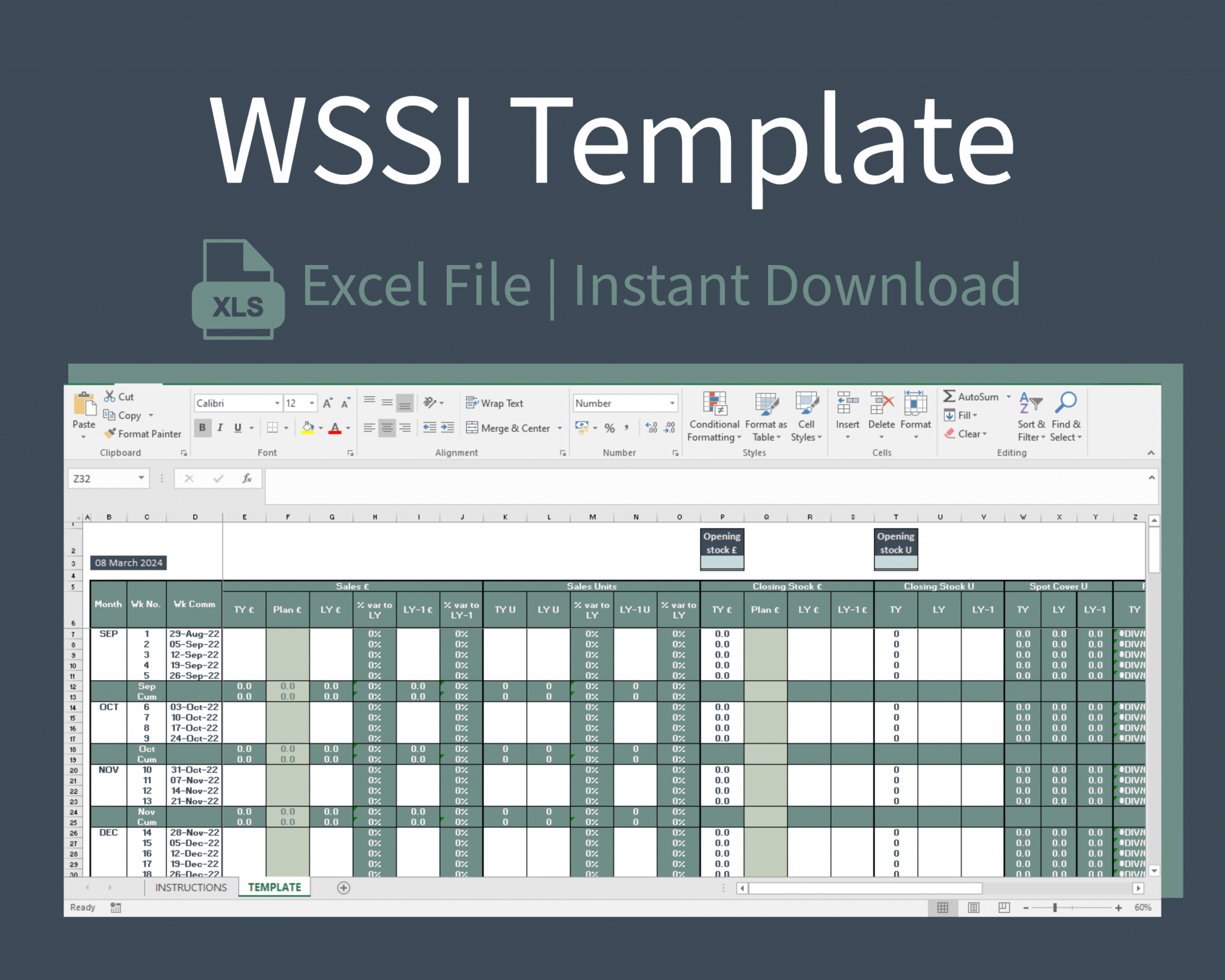 Excel WSSI Template Instructions - Excel and Me